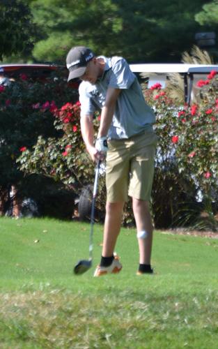 Volunteer's Lovelace, Gibson qualify for region golf tournament ...