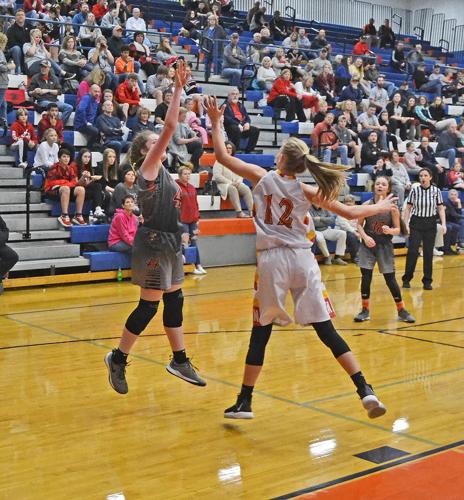 Lady 'Dawgs rally to win Area 3 championship | Sports ...