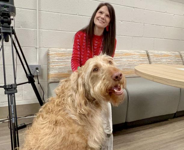 Archie brings 'a sense of calm': New therapy dog spreading smiles ...