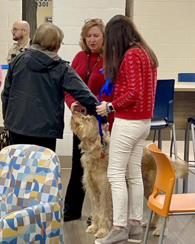 Archie brings 'a sense of calm': New therapy dog spreading smiles ...