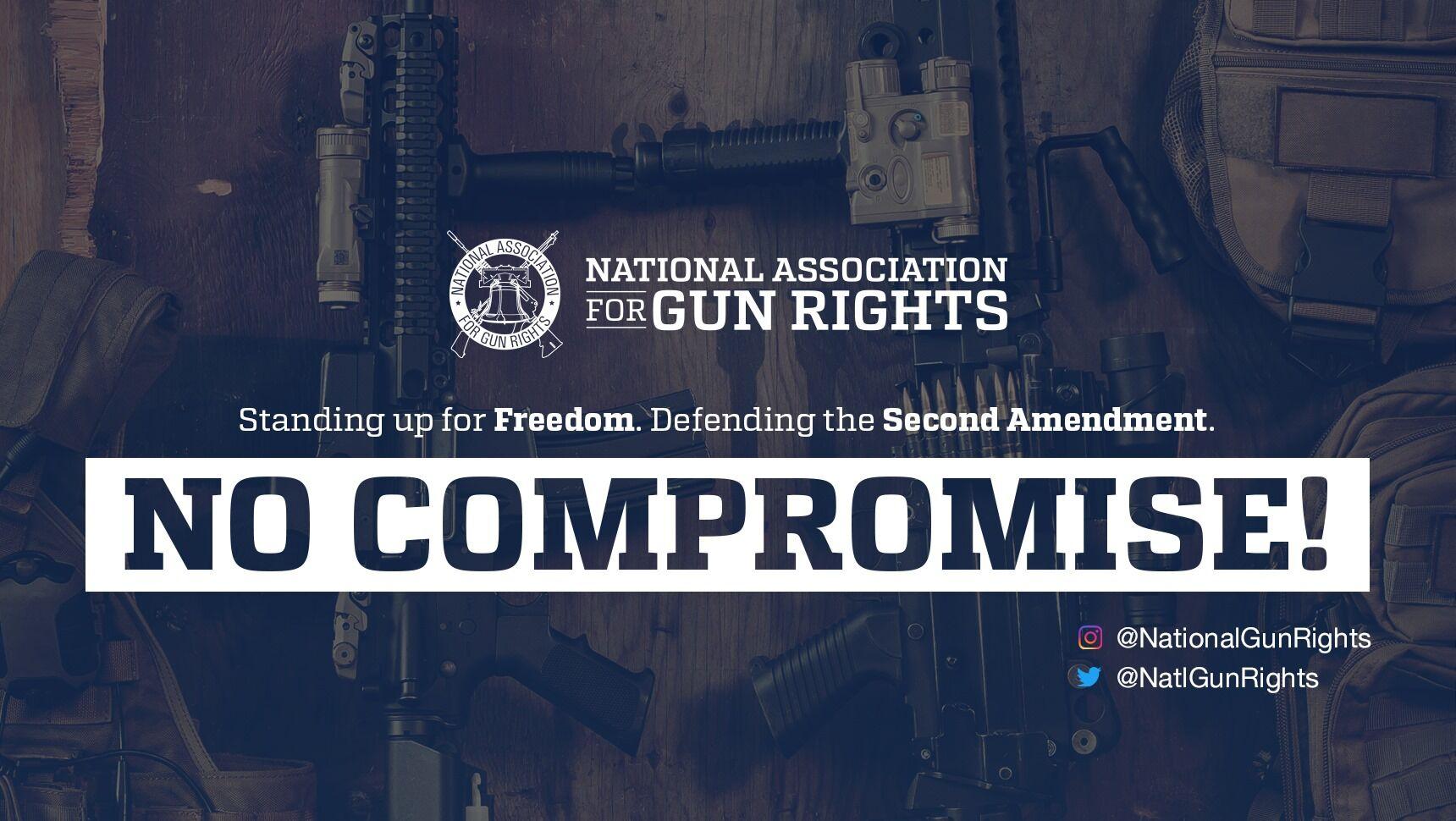 National Association for Gun Rights calls for Gov. Lee to be censured | Columns ...