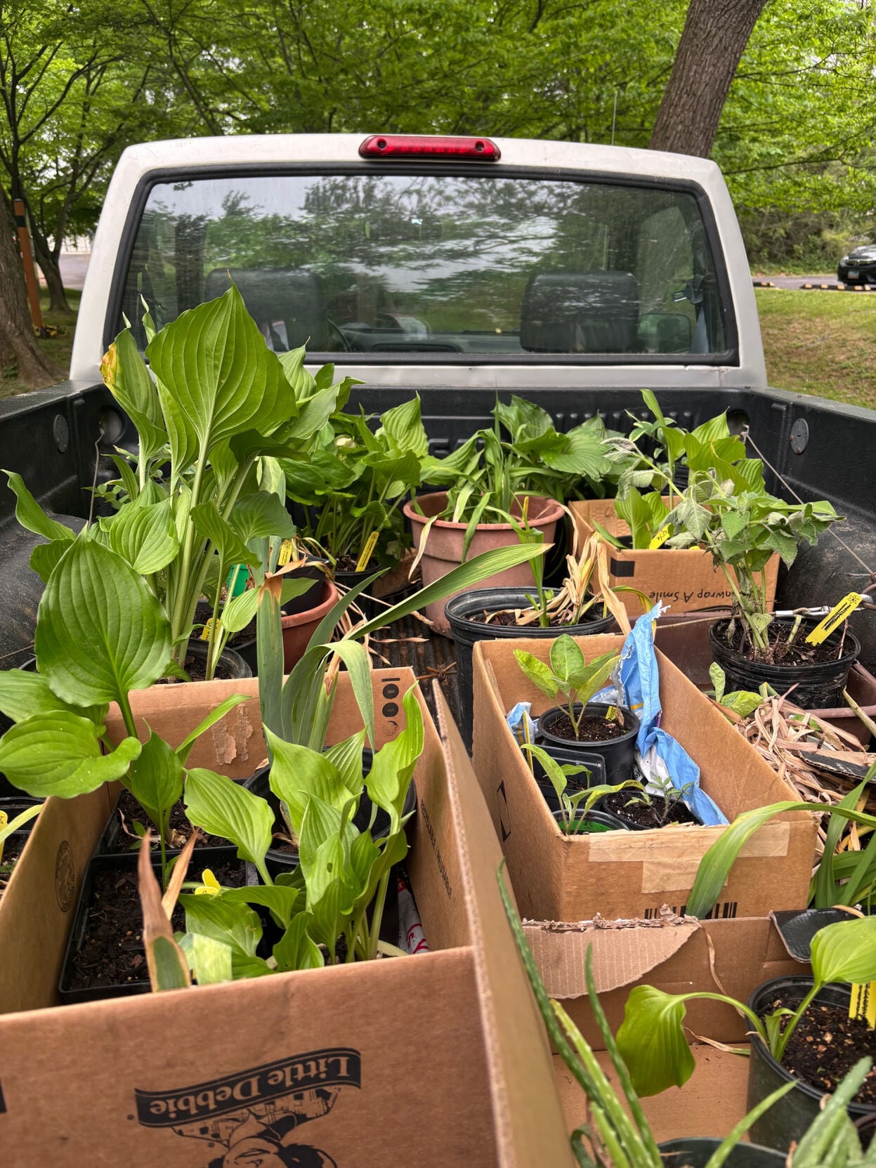 Rain puts a damper on, but doesn't ruin Earth Day | News ...