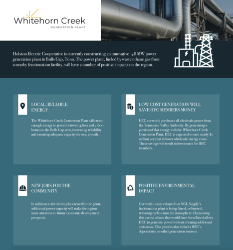 Holston Electric commissions first ethane-to-power generation plant in ...