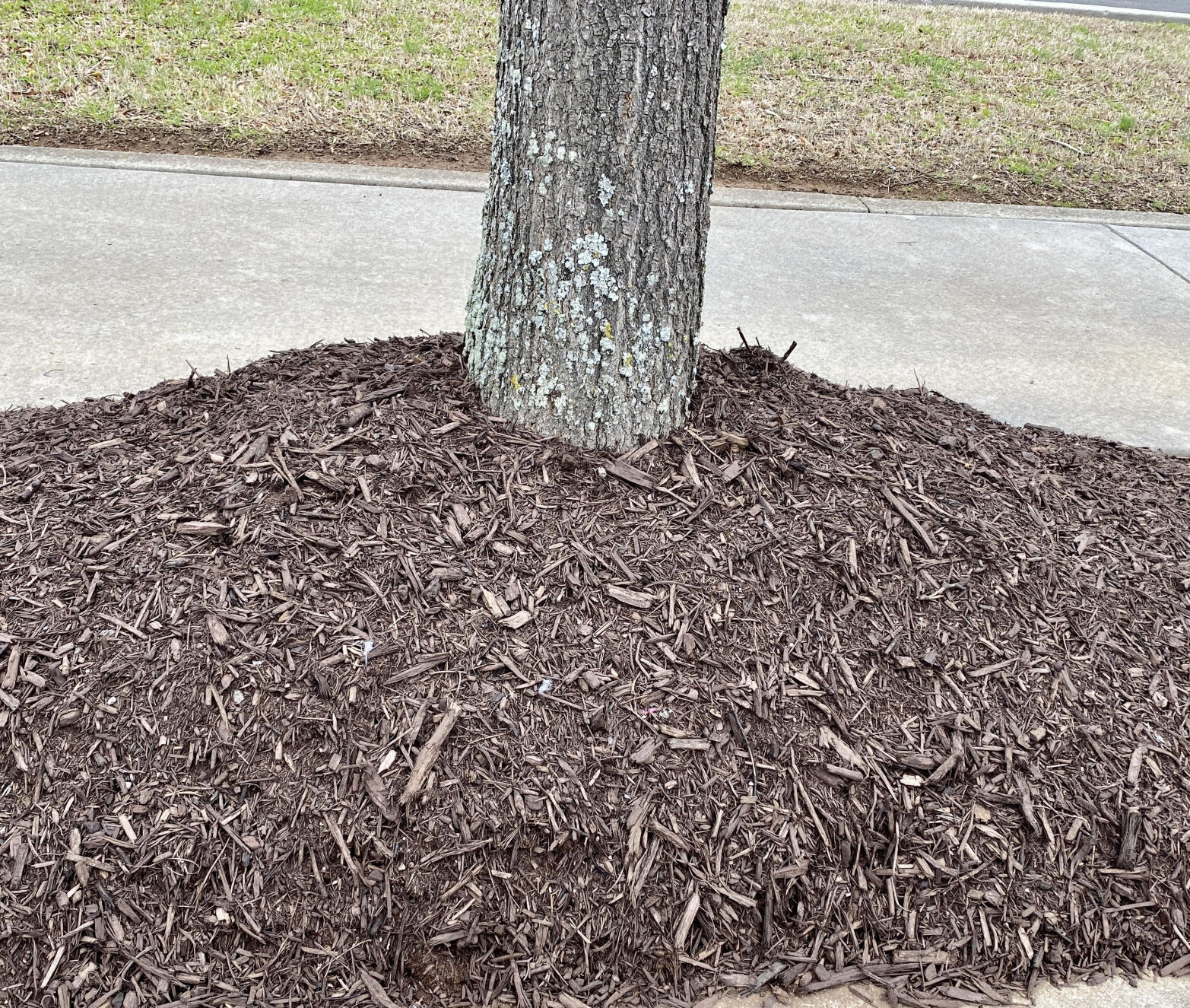 Outside: Mulching Do’s and Don’ts | Columns | therogersvillereview.com