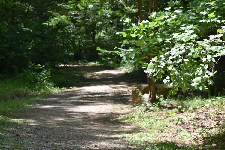 Get Outdoors: Laurel Run Park is a natural treasure | Sports ...