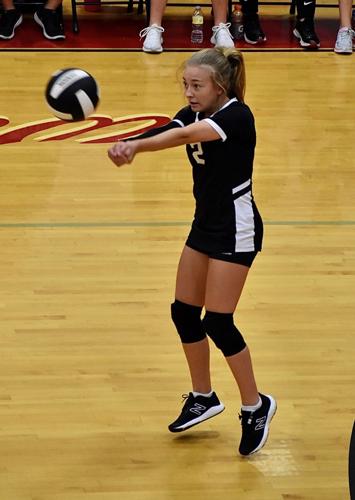RCS volleyballers continue winning ways, top SMS, Fall Branch | Sports ...