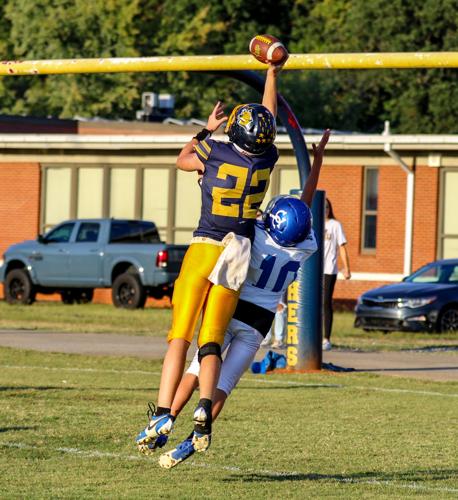 PHOTO GALLERY: Panthers end season on high note ...