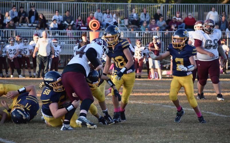 Panthers advance to Area 1-AA championship game | Sports ...