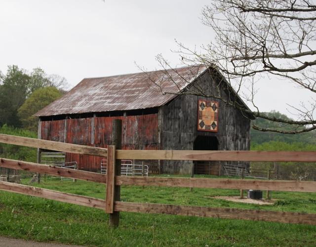 'Fun and affordable': The next generation takes over Davidson Farm ...