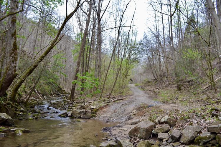 Laurel Run Park river bank and hiking trail erosion protection projects ...