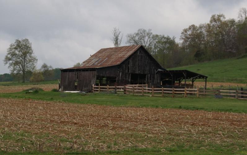 'Fun and affordable': The next generation takes over Davidson Farm ...