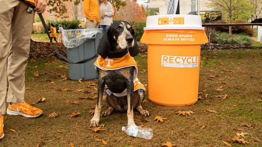 Fans can help UT score big for recycling | Sports ...
