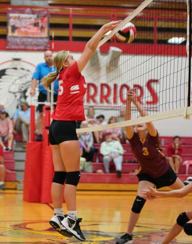 PHOTO GALLERY: Lady Warriors defeat Lady Gamecocks | Multimedia ...