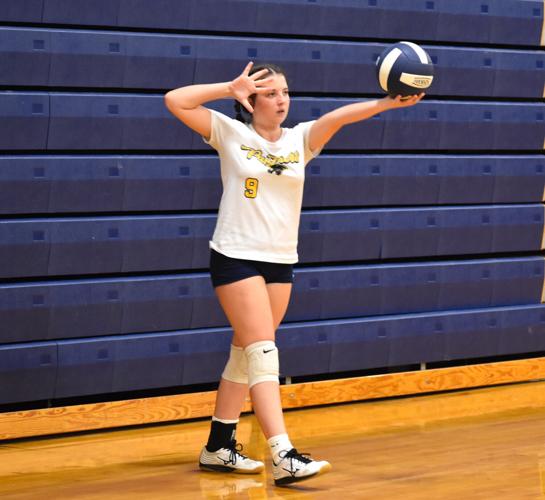 PHOTO GALLERY: Lady Huskies edge Lady Panthers | Multimedia ...