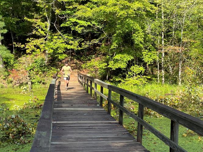 Skelton Law Racing Series tackles Bays Mountain trails | Sports | therogersvillereview.com