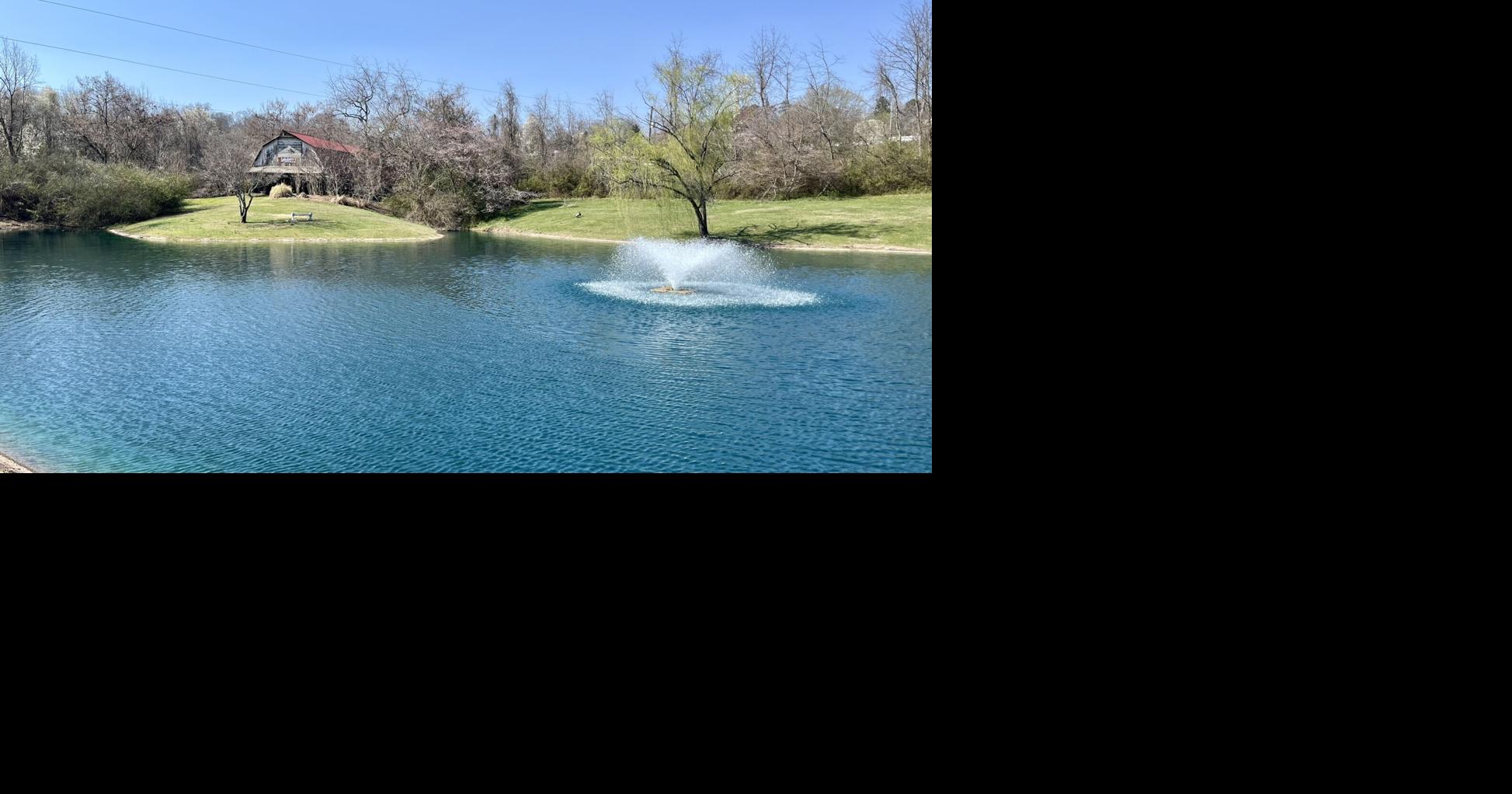 Rec League Notes: Fishing Day coming to Allandale | Sports ...