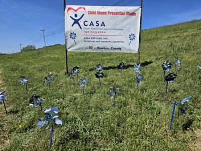 CASA for Kids highlights Child Abuse Prevention Month with pinwheel ...