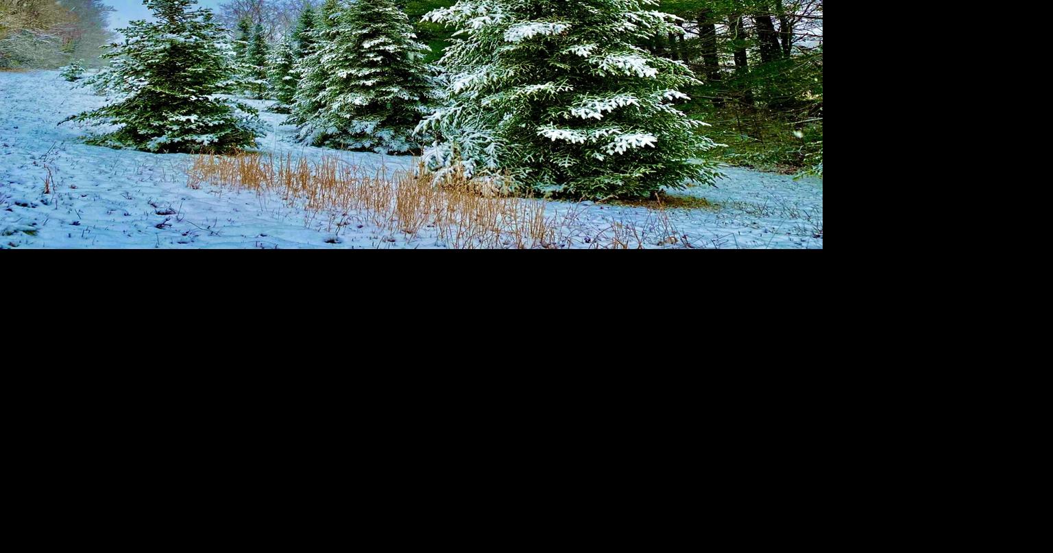 Outside: How to Make Snow | Columns | therogersvillereview.com