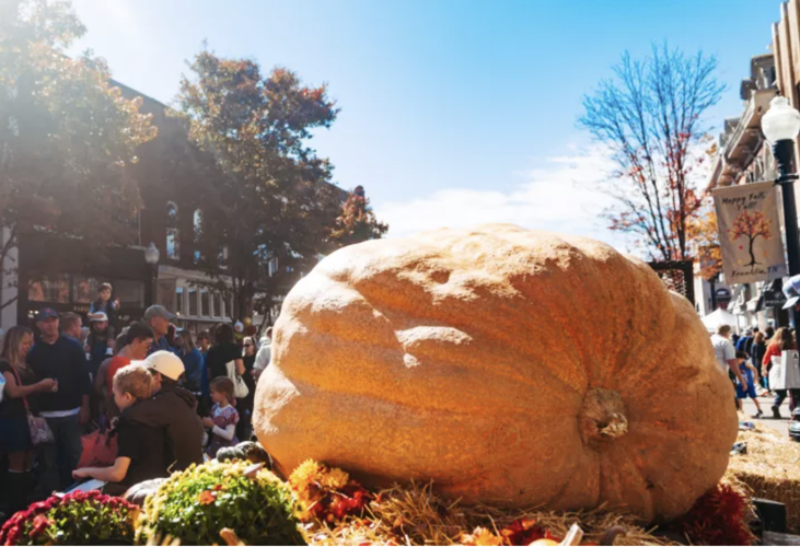 Tennessee has a wide variety of fall festivals throughout October ...