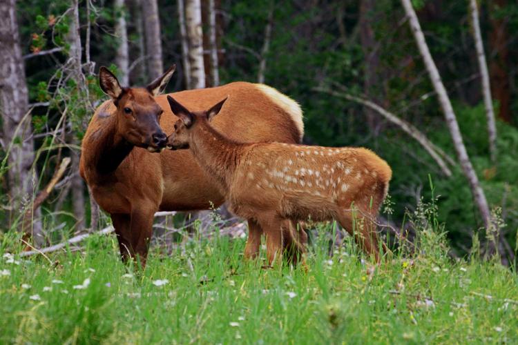 Meet Keith Utter: Rogersville Local Artist Gallery's 'Artist of the ...