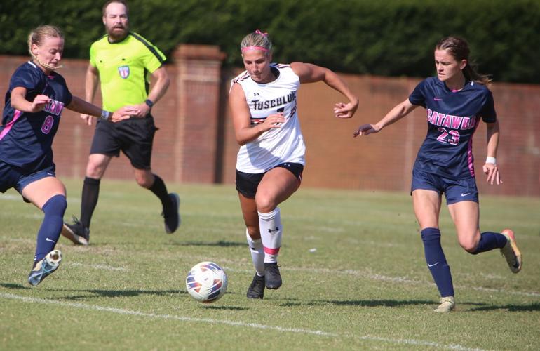 Tigers' Anderson, Vols' Brooks earn TSWA awards | Multimedia ...