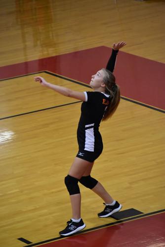 RCS volleyballers continue winning ways, top SMS, Fall Branch | Sports ...