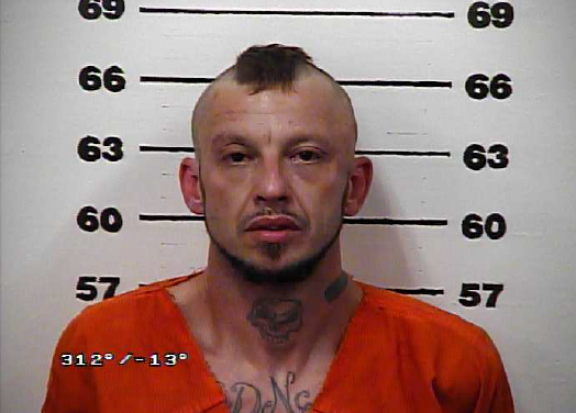 HCSO: Woman fled traffic stop in stolen vehicle, tried to swallow meth ...