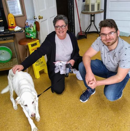 Hope in ‘ruff’ times: Senior dog gets a second chance | COVID-19 ...