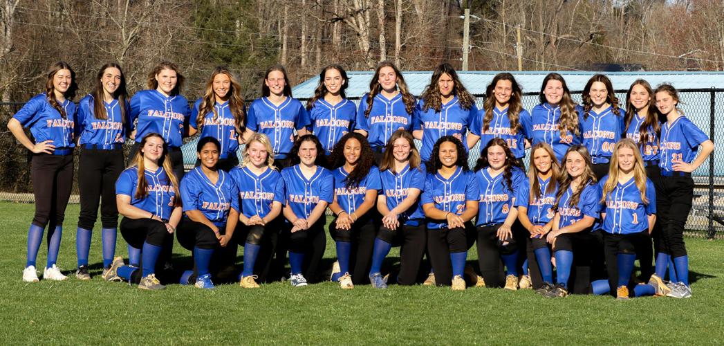 Veteran Strickler says Lady Falcons will 'fight to the end' | Local ...