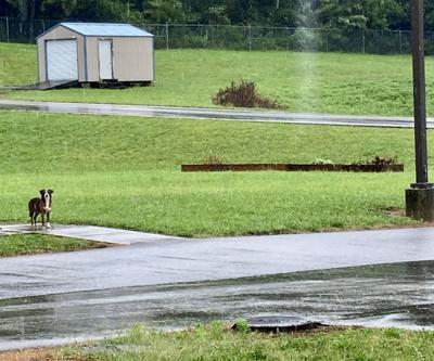 Clinch School receives $3,000 Grant for new greenhouse | Education ...