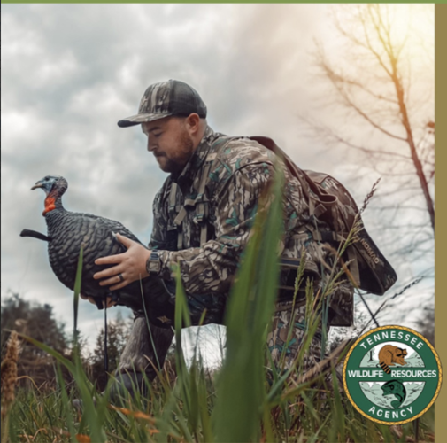 Outdoor Notes: TWRA offering Intro to Turkey Hunting class | Sports ...