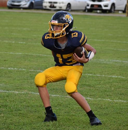 PHOTO GALLERY: Panthers roll to 42-0 victory over West Greene | Sports ...