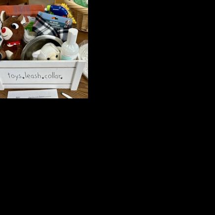 Surgoinsville library auction to benefit children's programming ...