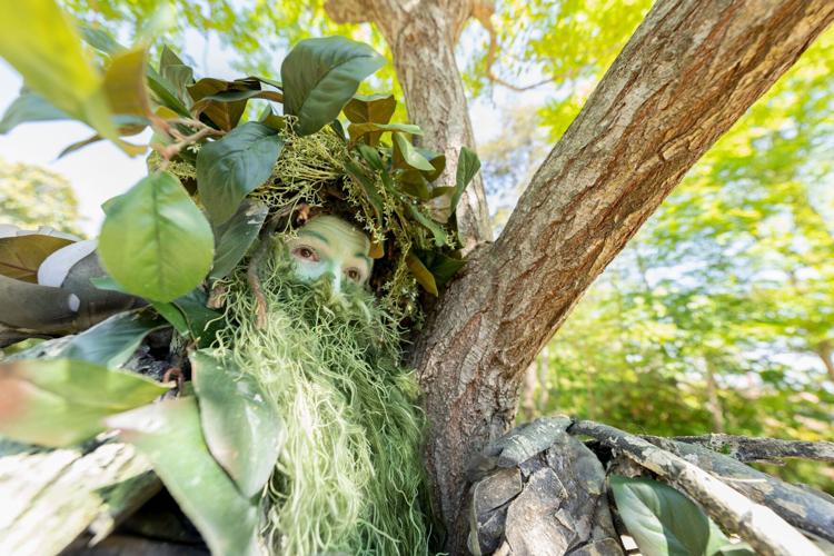 Have you seen Rock City? | Sports | therogersvillereview.com