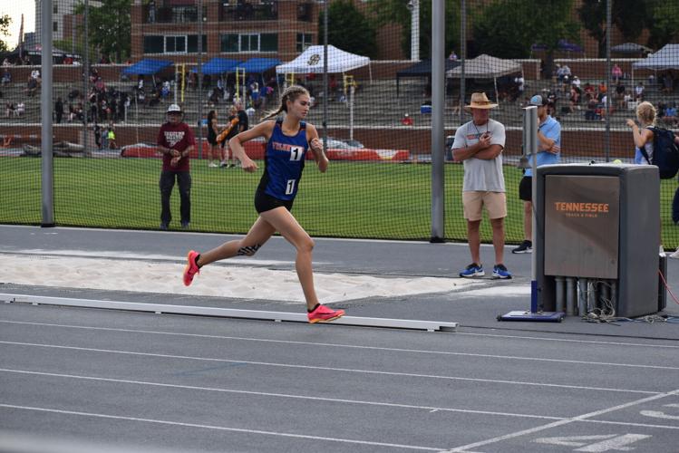 Hawkins athletes named to TSWA all-state track teams | Sports ...