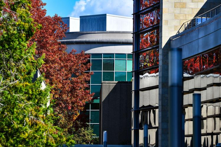 ETSU: Lowest elevations enjoying peak fall foliage colors | Community ...