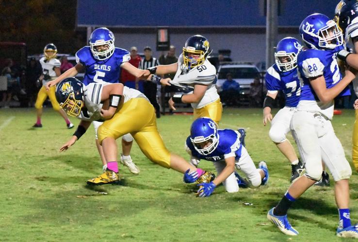 Church Hill wins Area 1-AA championship | Sports | therogersvillereview.com