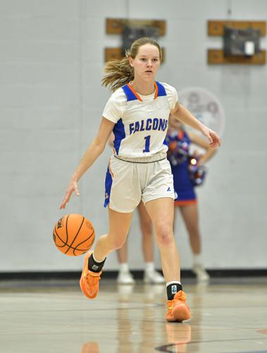 PHOTO GALLERY: Lady Wolves wallop Lady Falcons | Multimedia ...