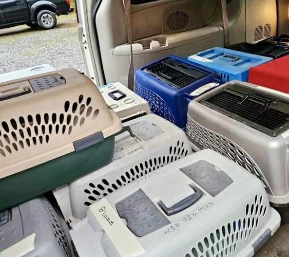 Volunteer drives cat taxi to low cost spays and neuters for Hawkins ...