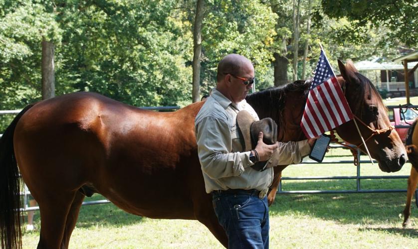 Horse seminar at Sayrah Barn raises $1,000 for Hawkins County Humane ...