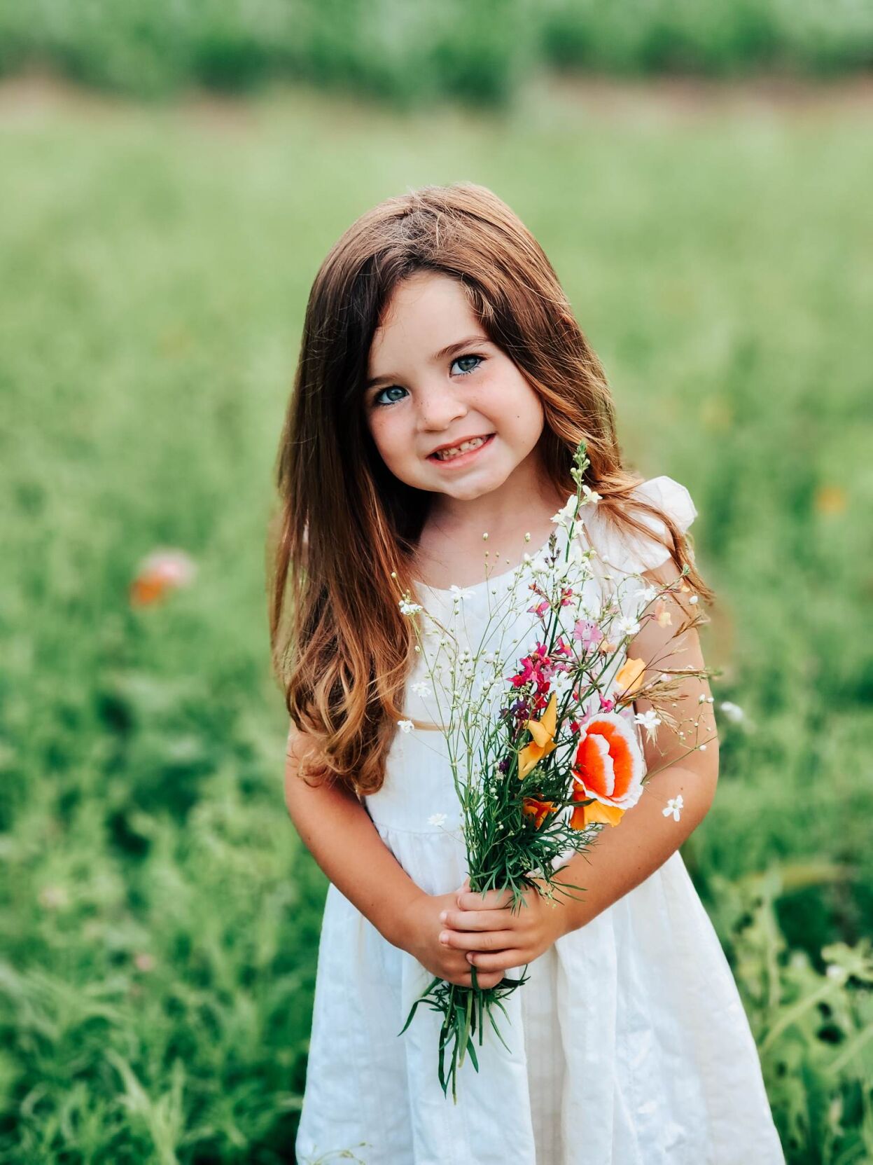 Sweet Corn and Flowers: Allen Farms a self sufficient 4th generation ...