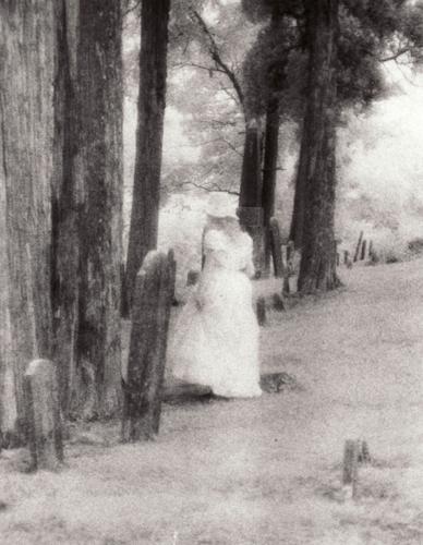 The Ghosts of Maxwell Academy | Columns | therogersvillereview.com