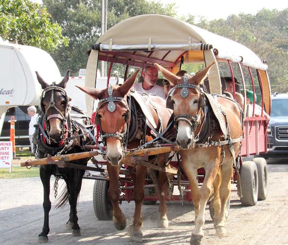 Hawkins Co. Fair offers good old-fashioned fun | Rogersville ...