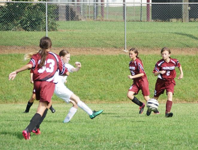 PHOTO GALLERY: Lady Panthers win on road at Rogersville | Multimedia ...