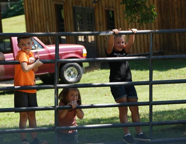 Horse seminar at Sayrah Barn raises $1,000 for Hawkins County Humane ...