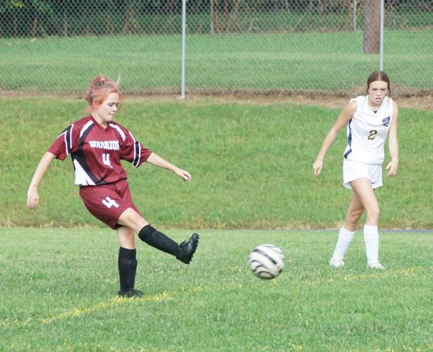 PHOTO GALLERY: Lady Panthers win on road at Rogersville | Multimedia ...