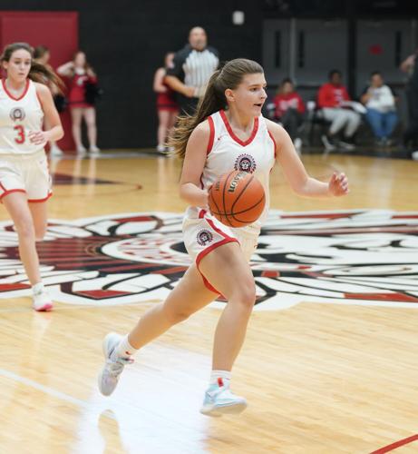 PHOTO GALLERY: Cocke County Lady Red defeats Lady Chiefs in District ...