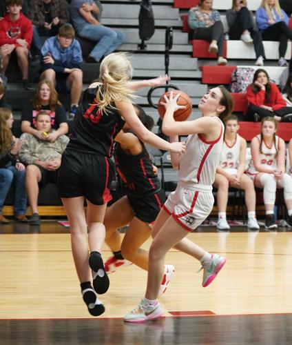 PHOTO GALLERY: Cocke County Lady Red defeats Lady Chiefs in District ...