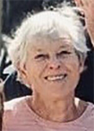 Judy Ann Sindt | Obituaries | thesiuslawnews.com