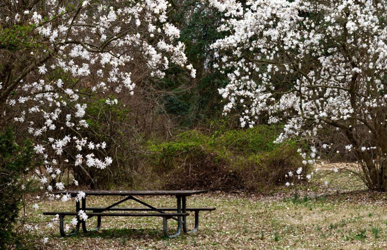 SIU's Knighton trades football gear for police uniform | SIU ...